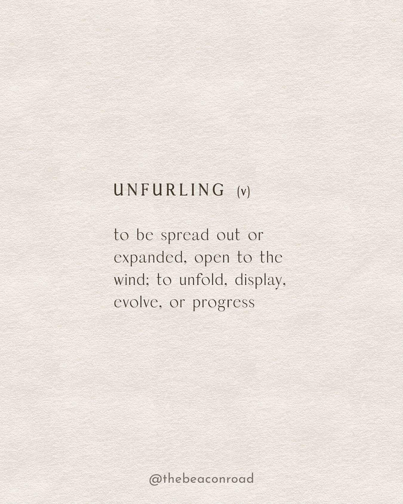 “Fearfully and Wonderfully” Book Quotes & Review | The Beacon Road