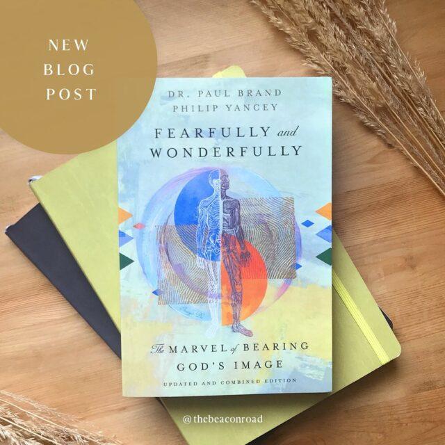 Discerning Toxic Relationships as a Christian | The Beacon Road